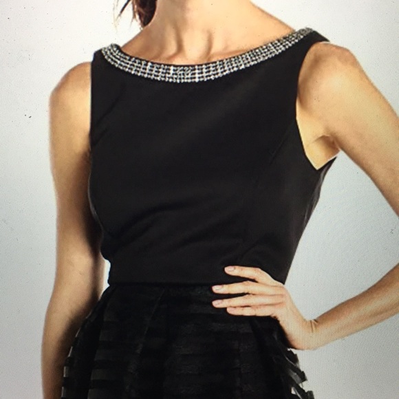 SD Collection | Dresses | Nwt Sandra Darren Sleeveless Illusion Skirt ...